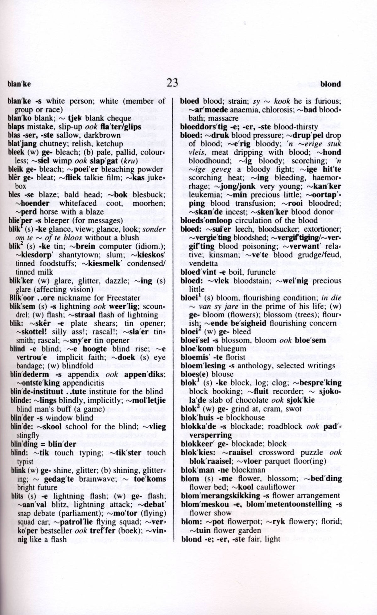 Afrikaans- English / English-Afrikaans Hipp Practical Dictionary